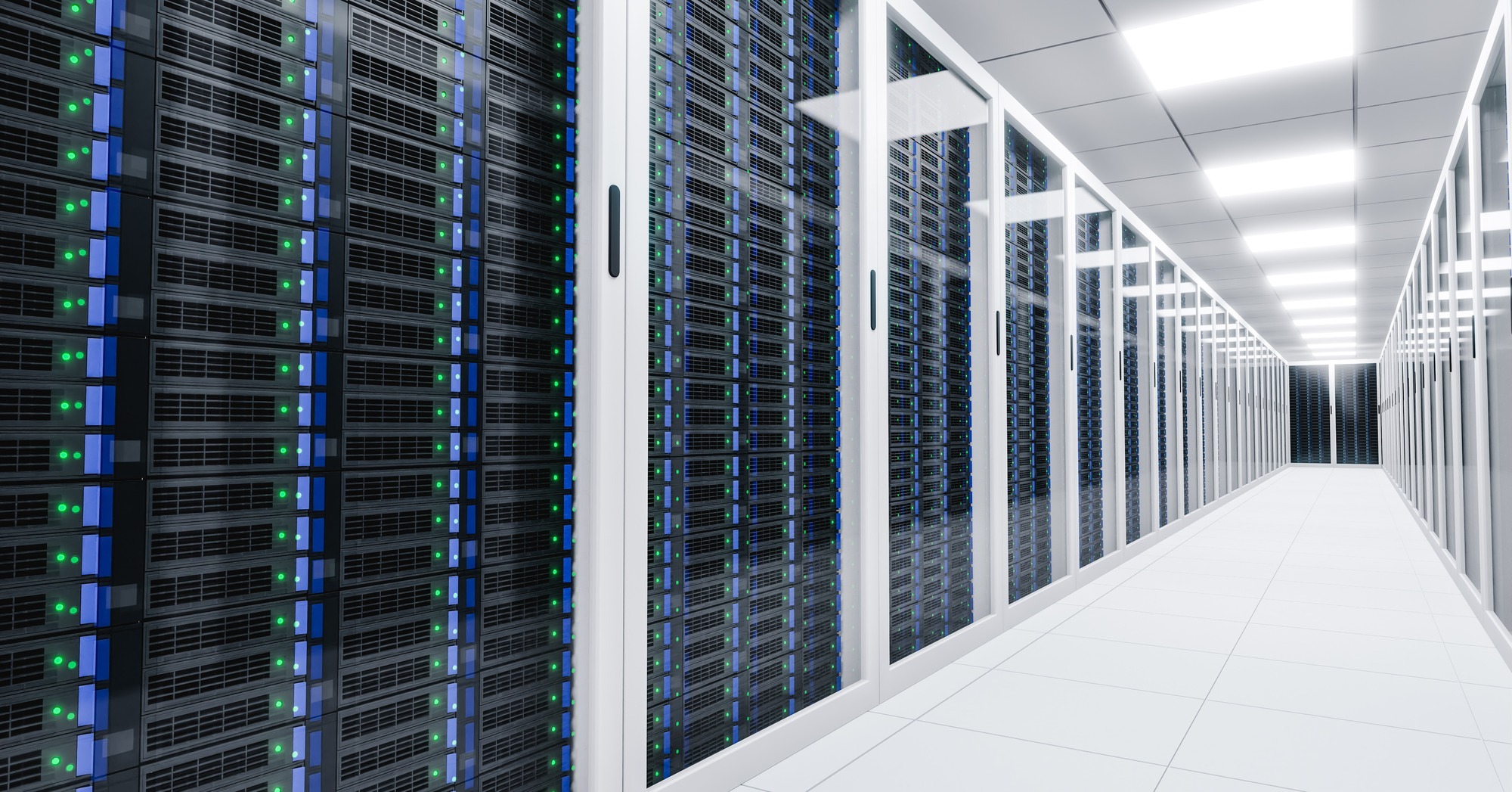 Hammer Weekly Update, week ending 4 January 2026